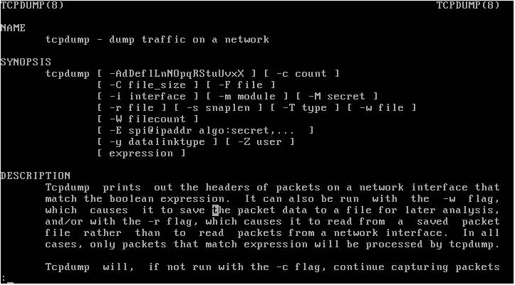 TCPDump工具使用与UDP数据包分析_udpdump-CSDN博客