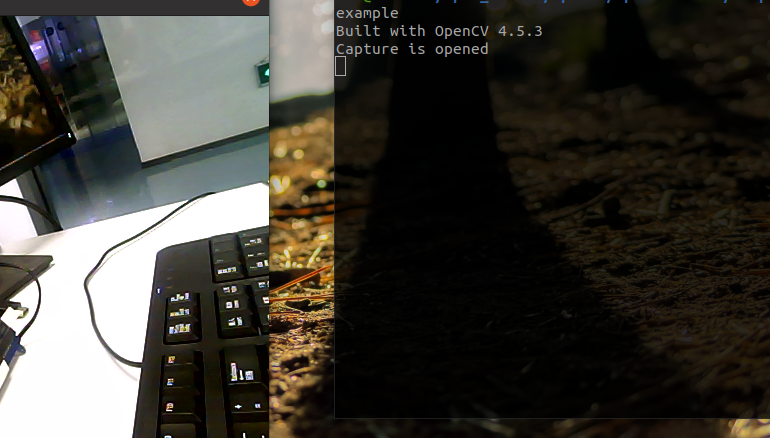 open VIDEOIO(V4L2:/dev/video0): can‘t open camera by index_can't open camera by index-CSDN博客