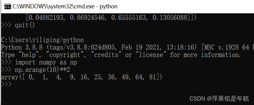安装numpy问题总结_安装了numpy但是不能使用怎么回事?_萍果馅是年糕的博客-CSDN博客