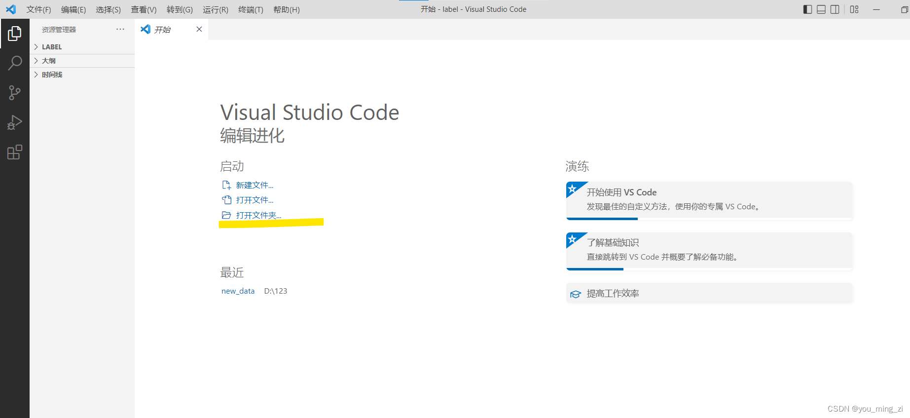 【无标题】Visual Studio Code 退出后所有的文件都消失了，解决方案_studio code打开文件没了-CSDN博客