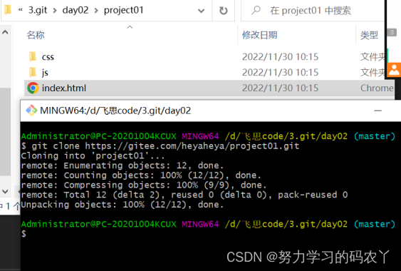git基本指令作用以及推送项目到码云(gitee)_git 强制推送数据到码云-CSDN博客