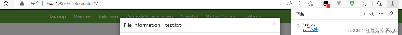 VM VirtualBox 实现 Hadoop 3.3.4集群搭建_vm虚拟机实现集群-CSDN博客