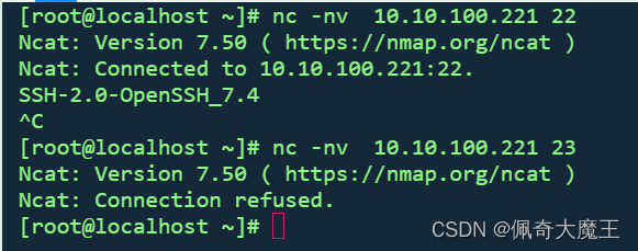 Linux命令之nc_linux nc-CSDN博客