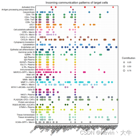 （七）单细胞数据分析——CellChat细胞间通讯差异分析-CSDN博客