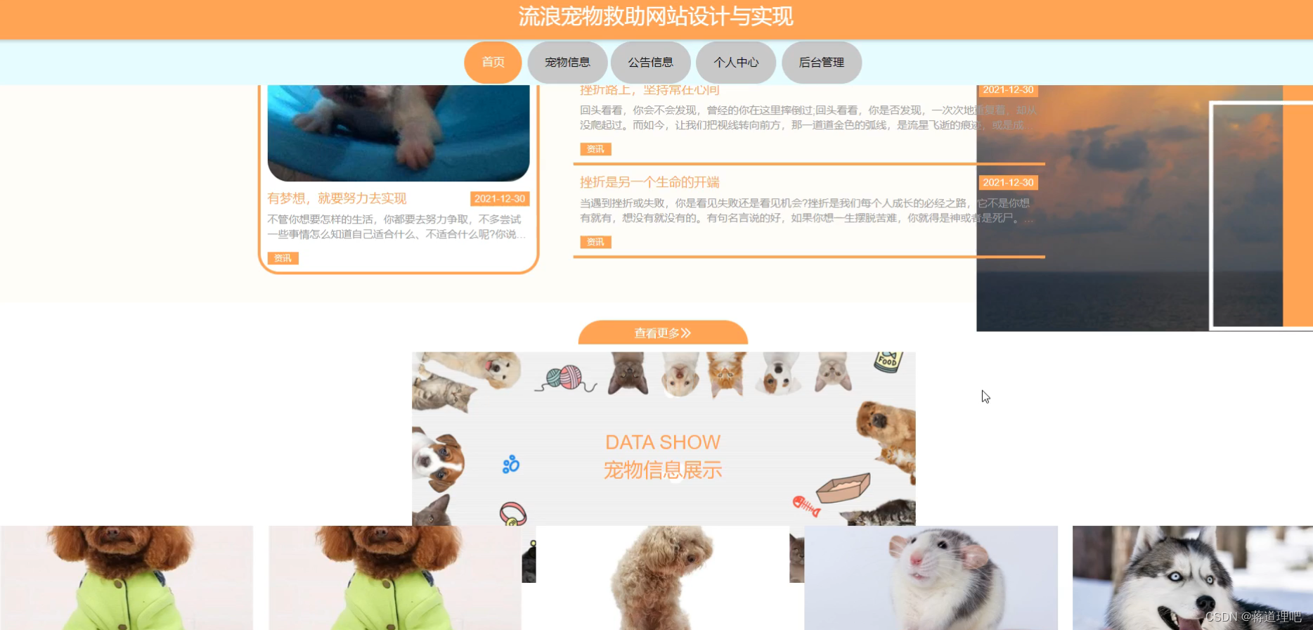 Springboot毕设项目流浪宠物救助网站设计与实现92soy（javavuemybatismavenmysql）毕设流浪宠物救助平台的开发与实现 Csdn博客 7903