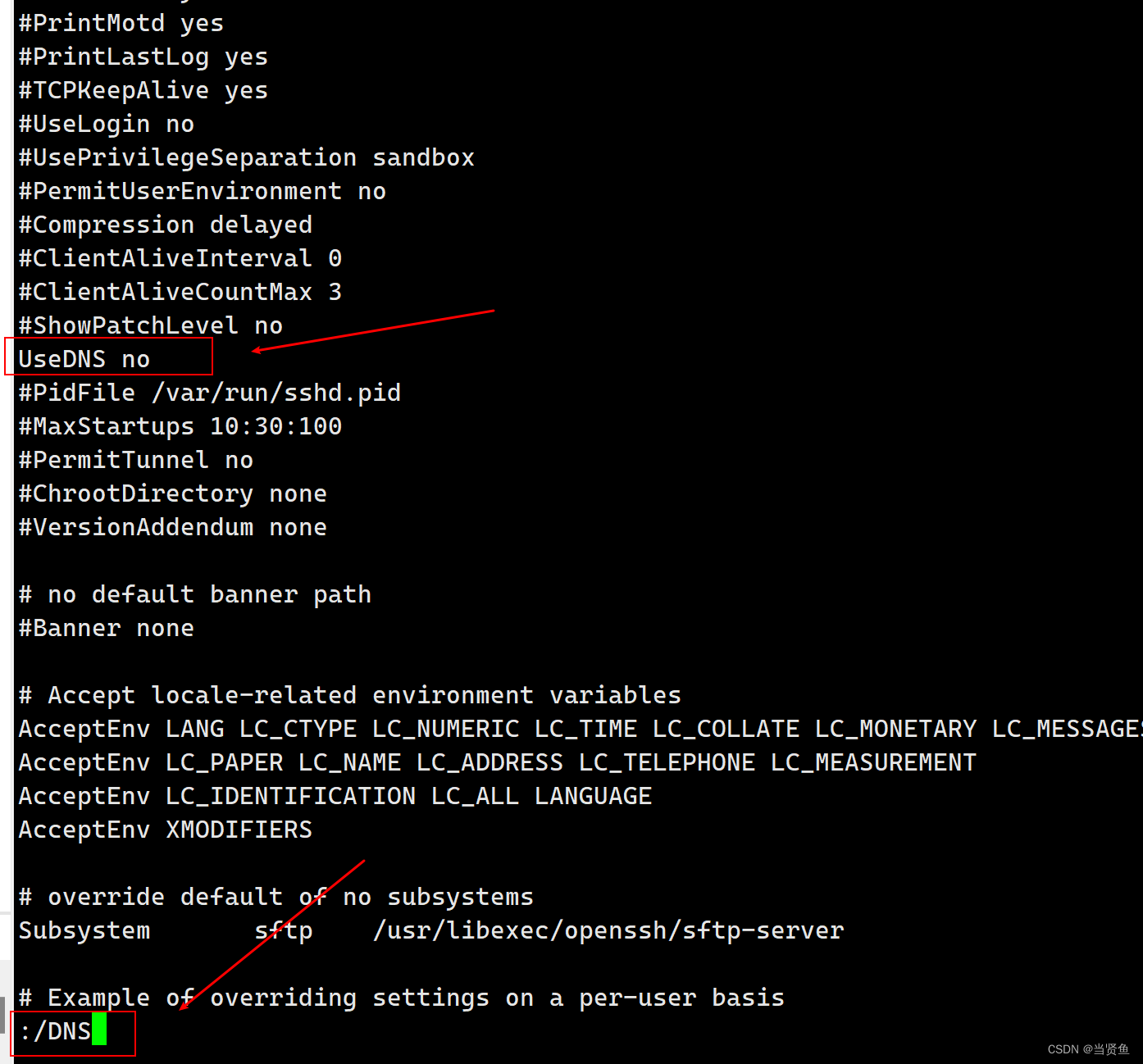 xshell连接linux与打开SFTP很慢的问题_xshell变得特别卡-CSDN博客