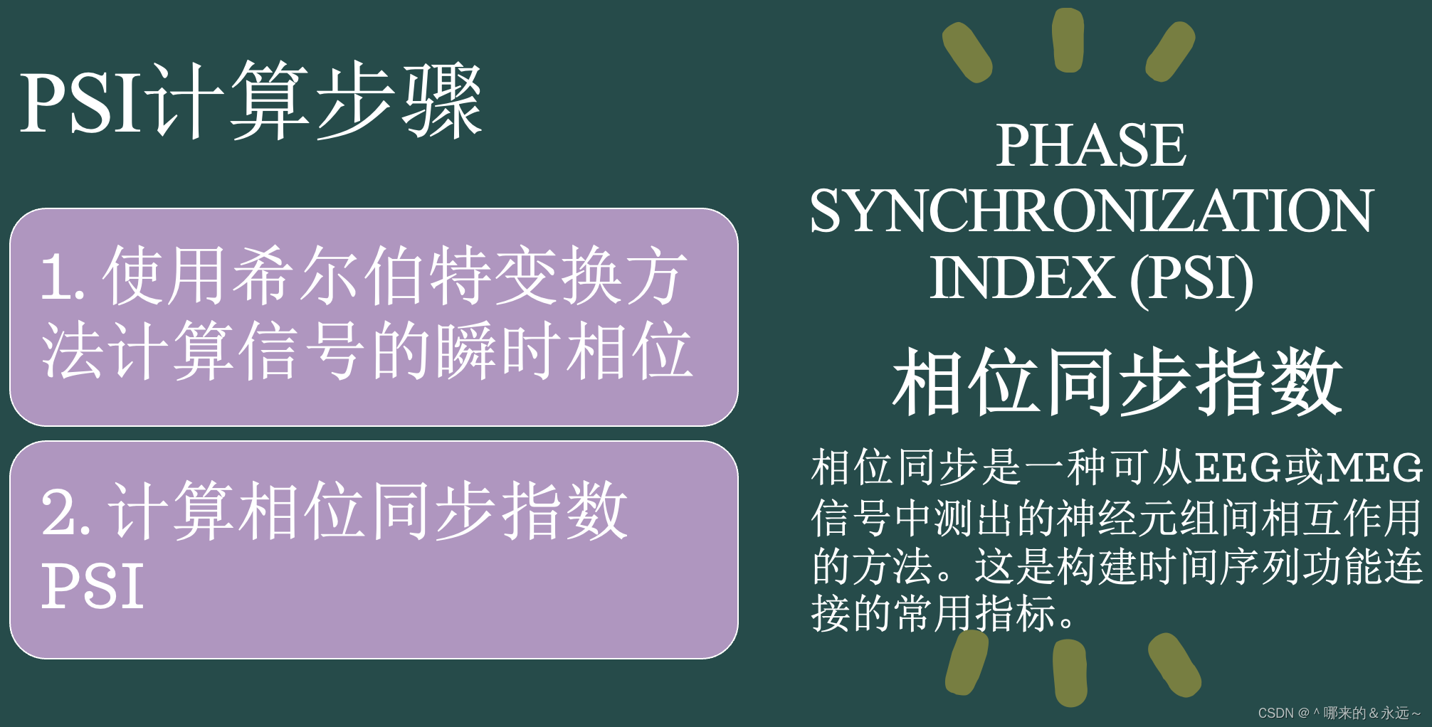 相位同步指数 （phase synchronization index，PSI）_相位同步算法-CSDN博客