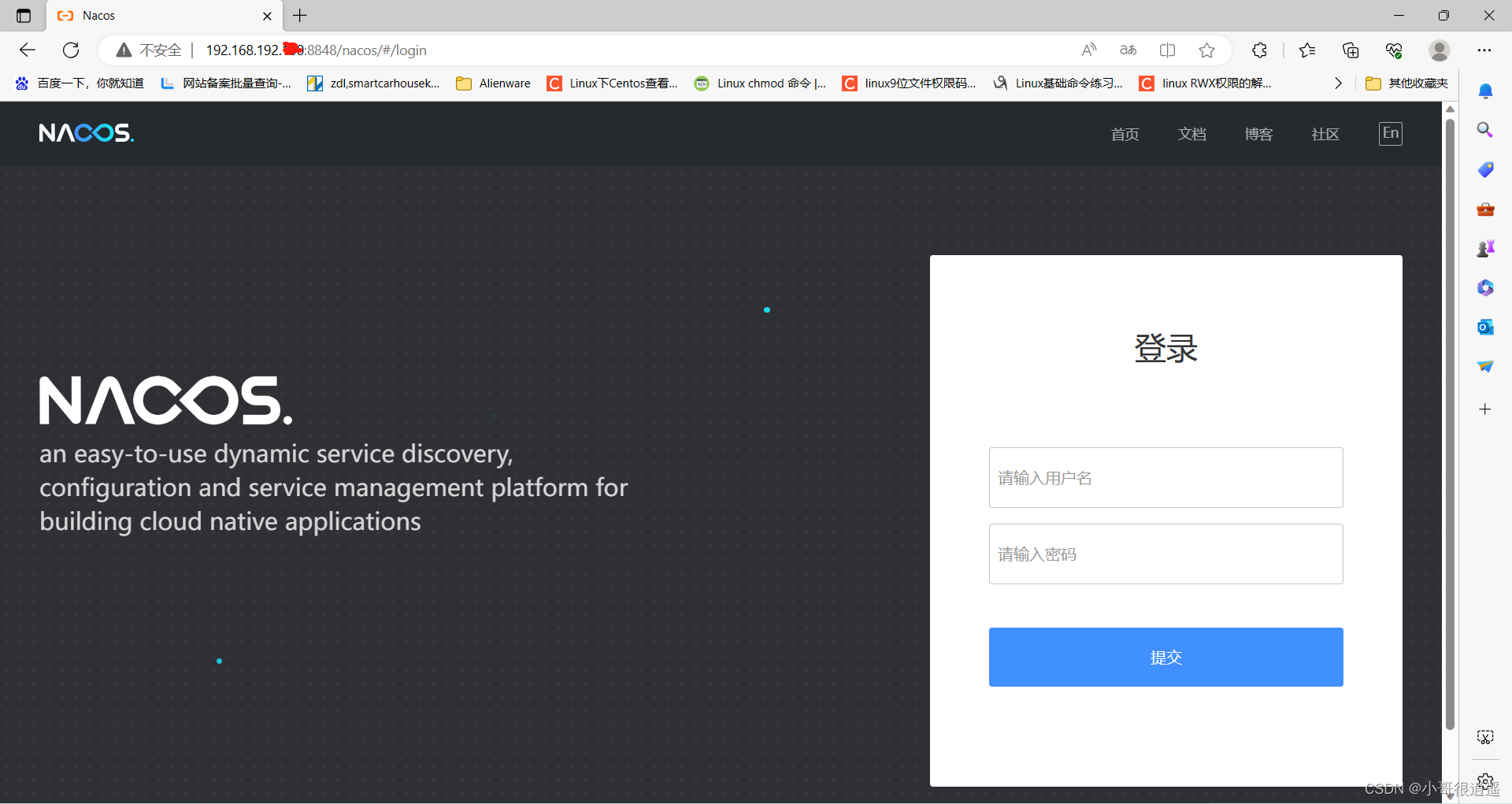 Alibaba Nacos权限认证绕过漏洞复现_nacos未授权访问漏洞修复-CSDN博客
