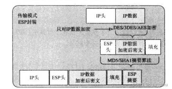 MPLS vpn和IPSEC vpn_mpls ipsec-CSDN博客