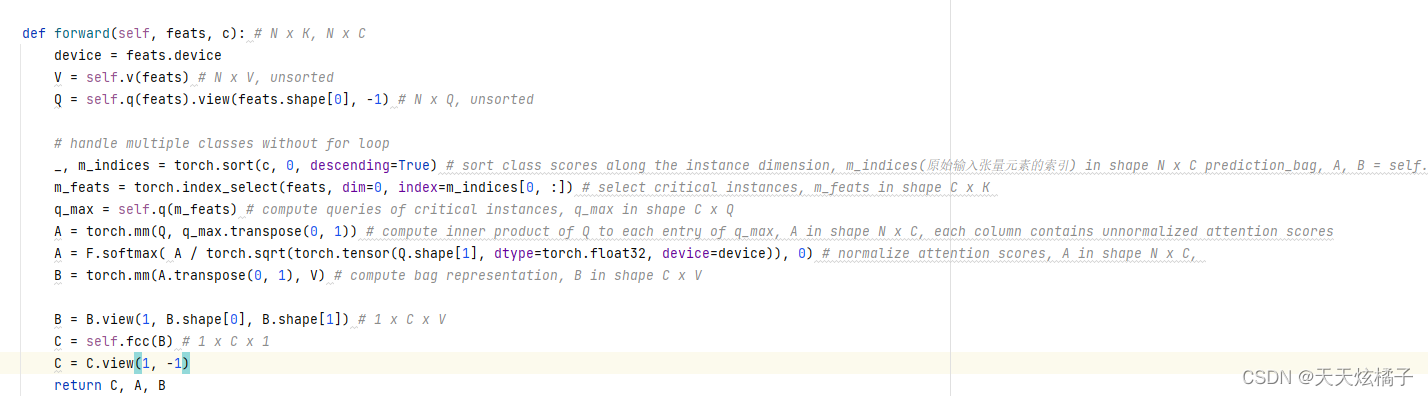 DSMIL论文代码复现，Dual-stream Multiple Instance Learning Network for Whole Slide Image Classification ...