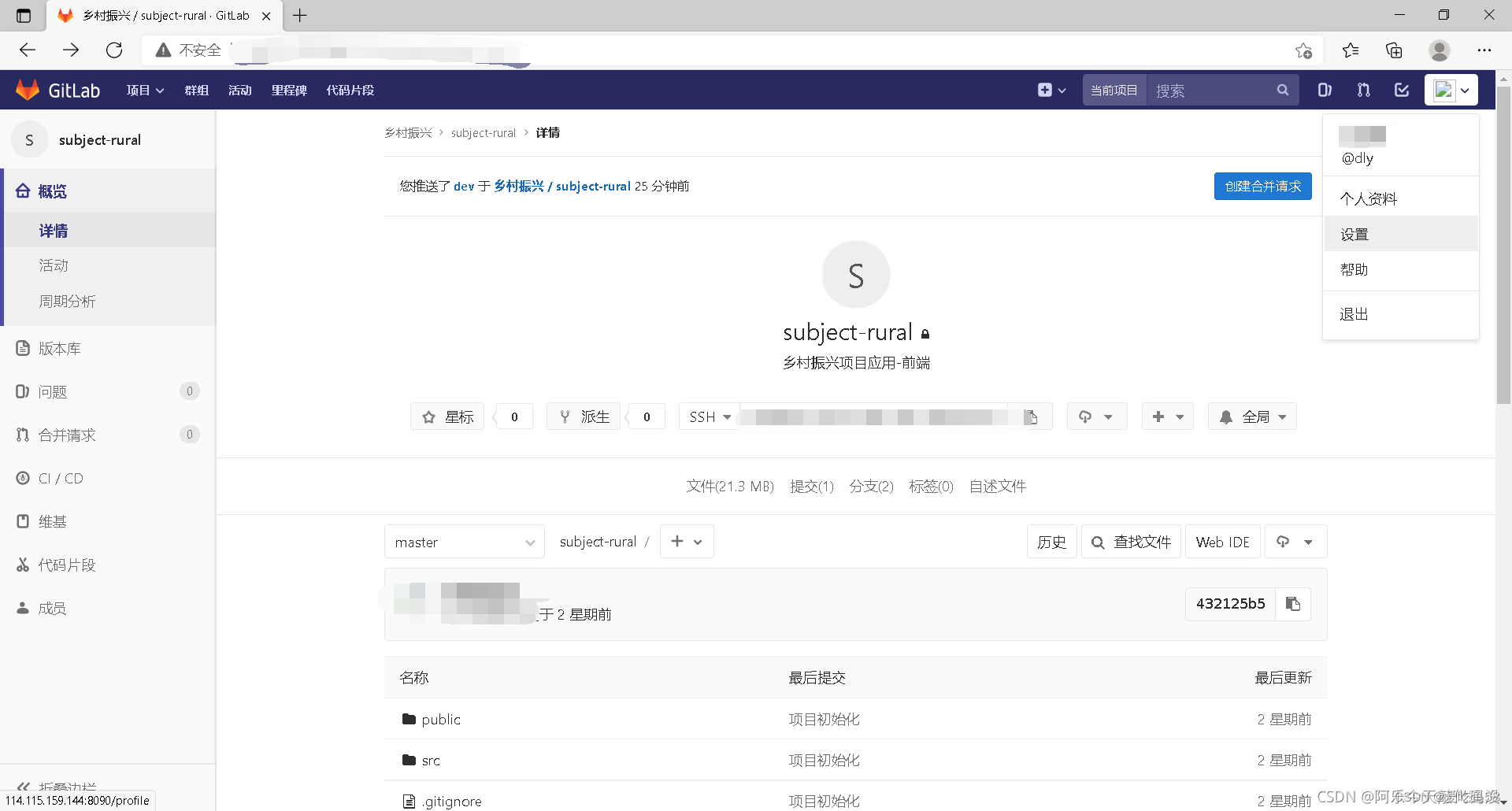 gitlab 推送-CSDN博客