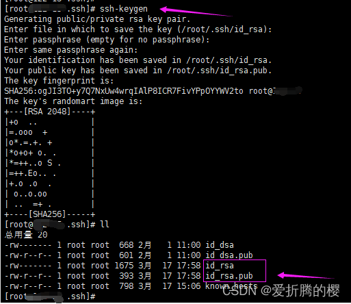 CentOS进行免密登录、定时进行文件同步_rsync命令 centos定时启动-CSDN博客
