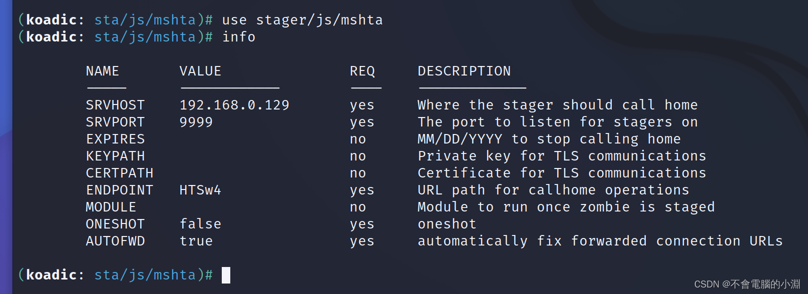 kali工具介绍之Koadic-CSDN博客