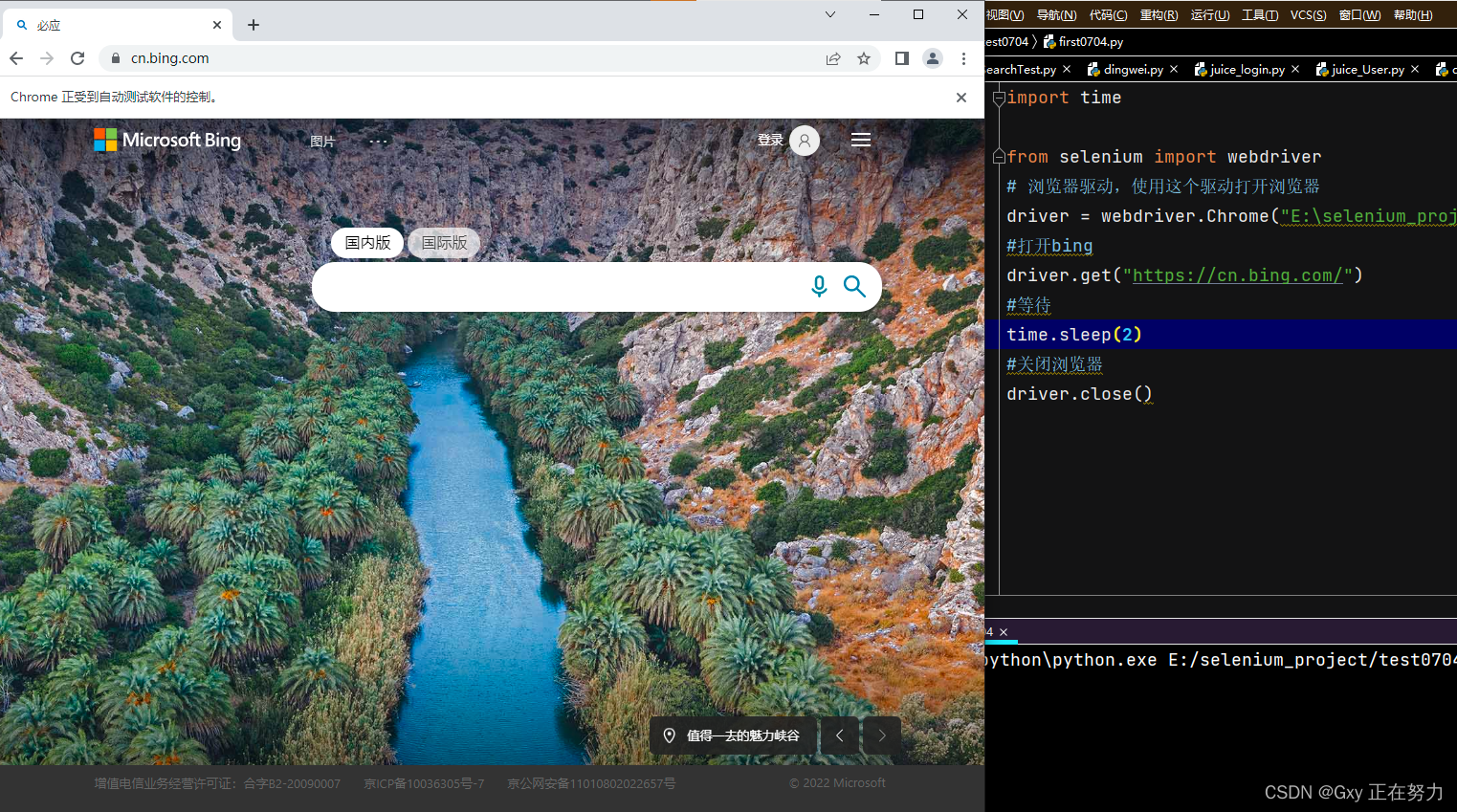Python Selenium WebDriver 环境搭建 测试bing篇_python selenium bing-CSDN博客