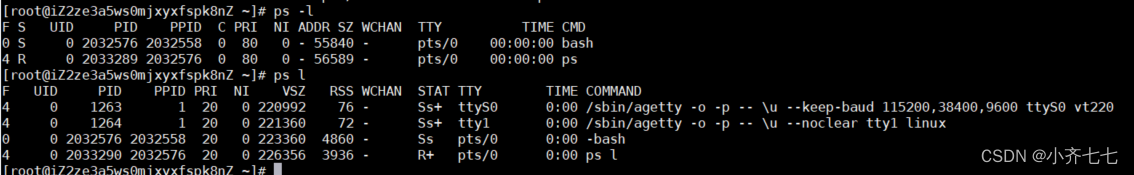 【linux学习笔记】ps top 查看的静态命令和动态命令_top静态输出-CSDN博客