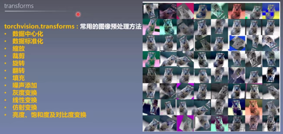 八 深度学习pytorch 图像预处理transformspytorch Transforms处理单张图片 Csdn博客 