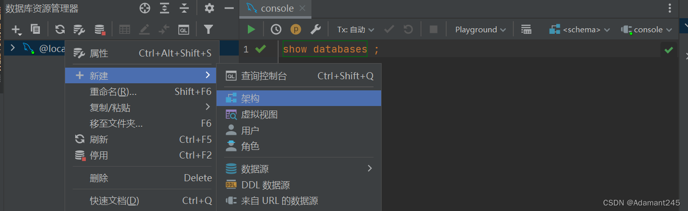 DataGrip下载和安装-CSDN博客