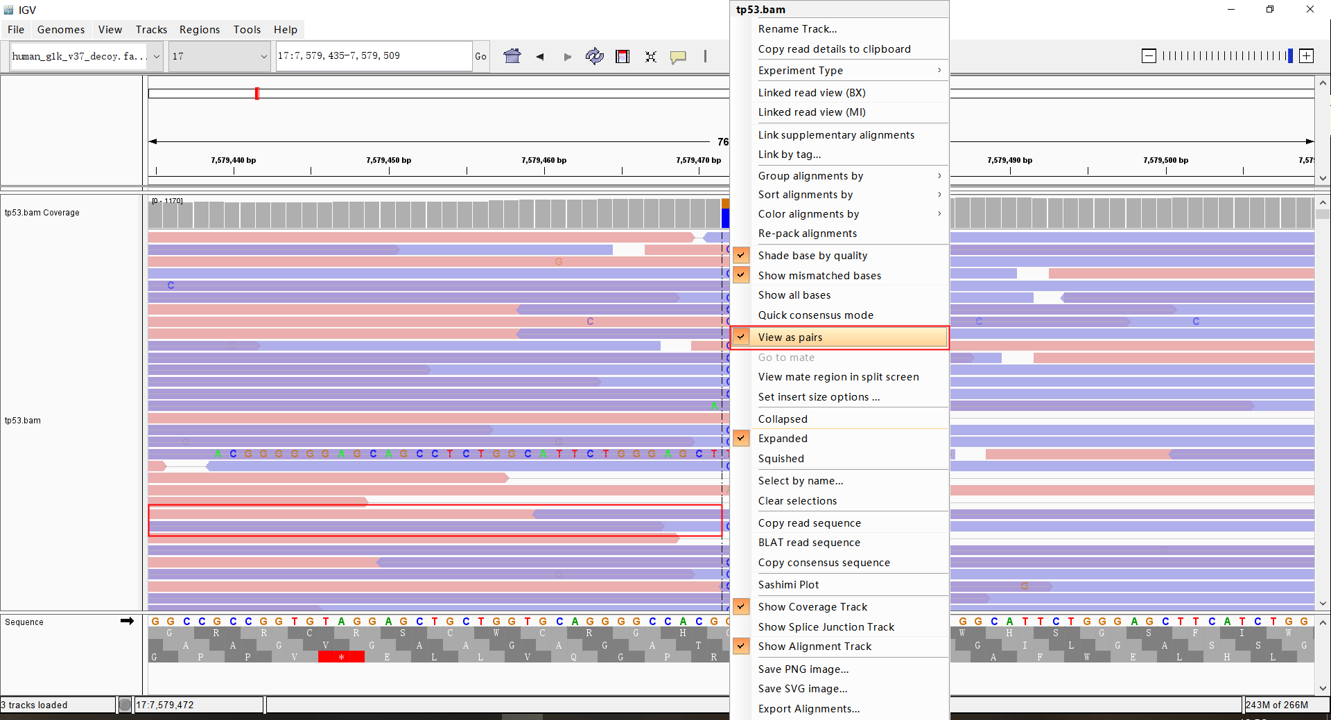IGV变异可视化设置要点_igv可视化图怎么看-CSDN博客