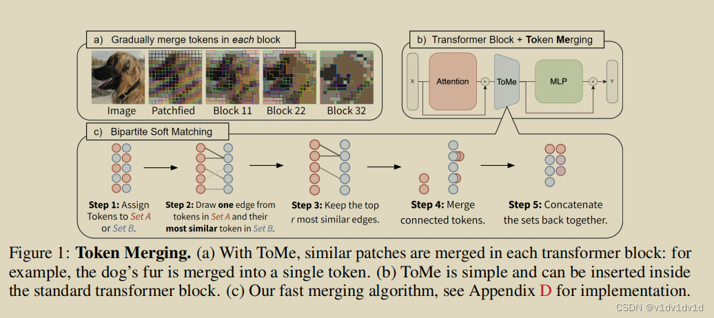 TOKEN MERGING: YOUR VIT BUT FASTER-CSDN博客