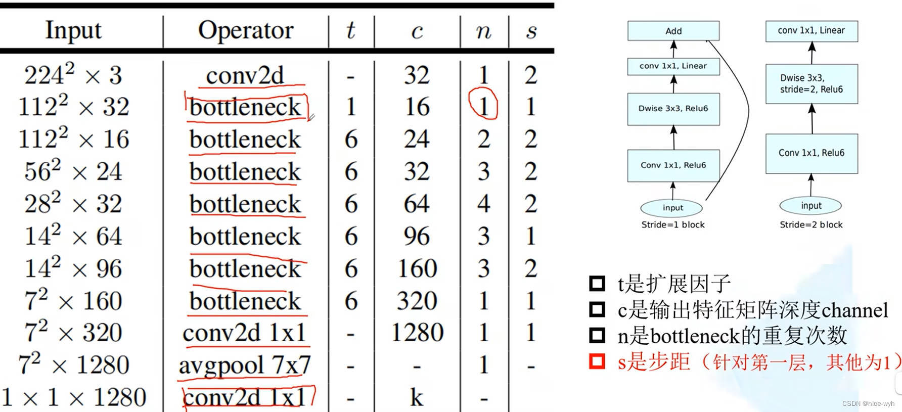MobileNetV2详解与多动物分类实战-CSDN博客