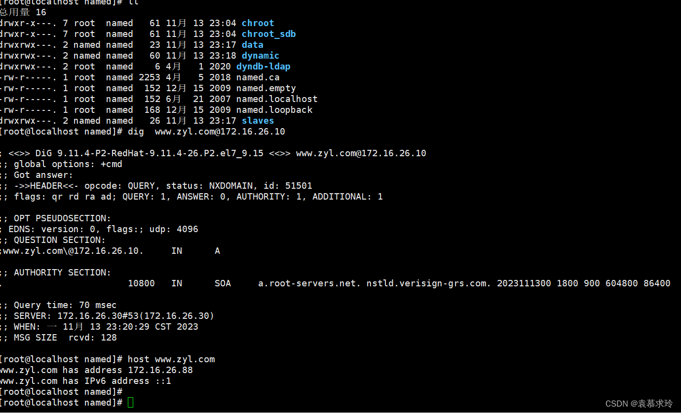 DNS——域名解析服务_180.101.50.242-CSDN博客