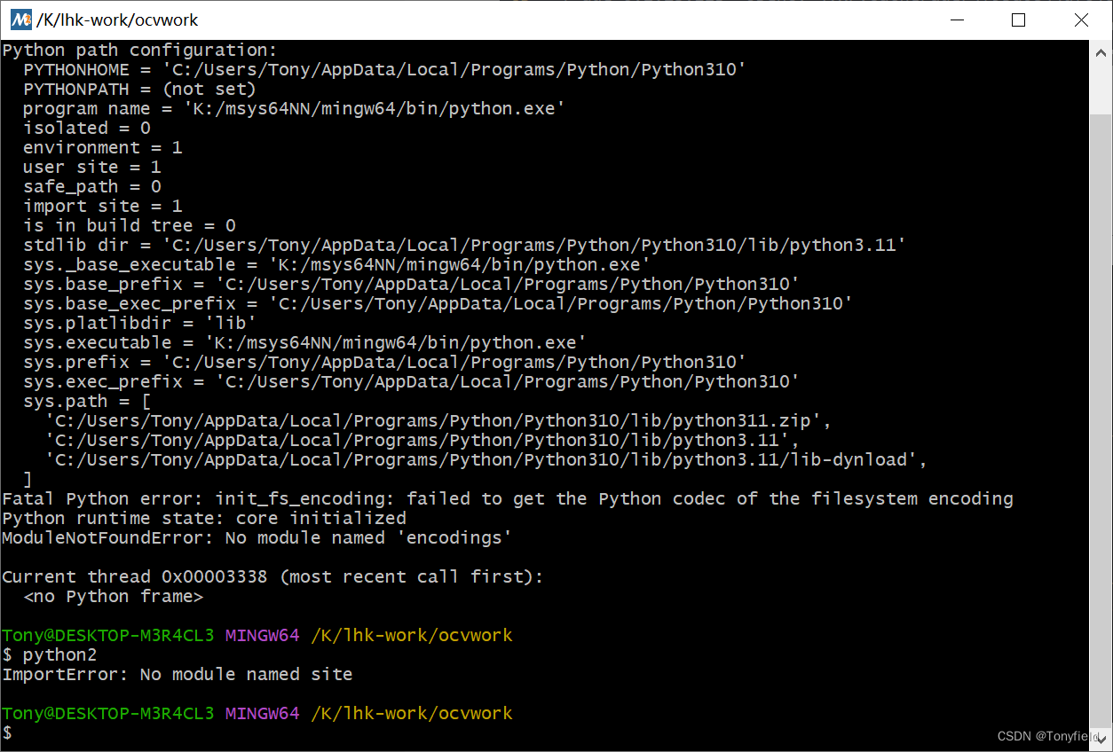 在 msys2/mingw 下安装及编译 opencv_msys2 opencv-CSDN博客