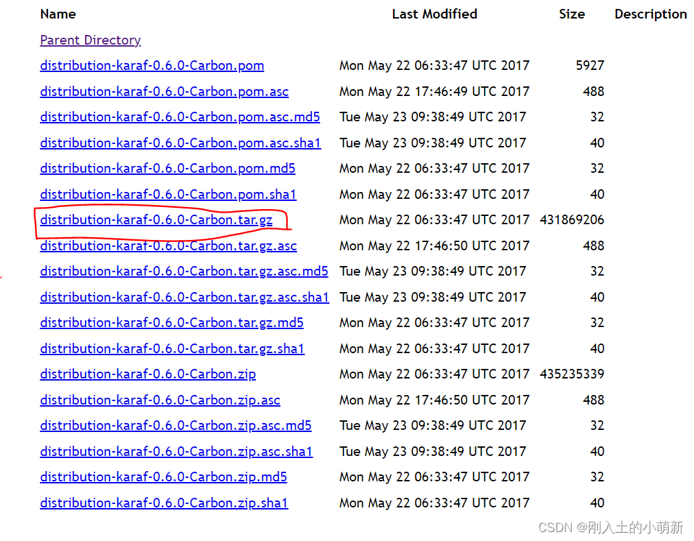 Opendaylight安装-CSDN博客