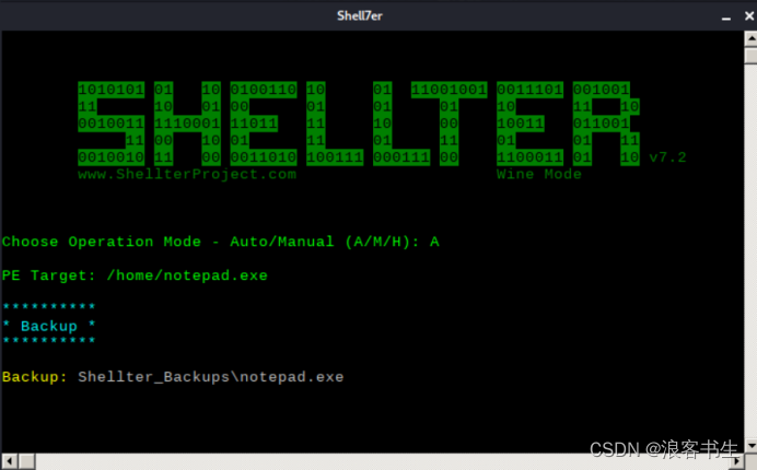 kali免杀工具shellter_kali shellter-CSDN博客
