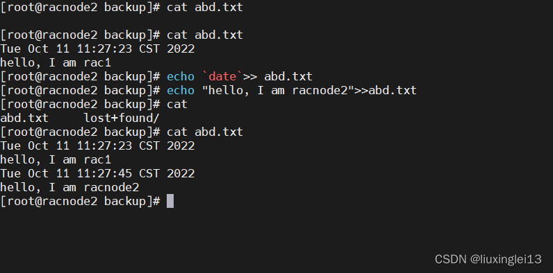 创建ACFS文件系统，两个节点可以使用_asmcmd 怎么创建文件-CSDN博客
