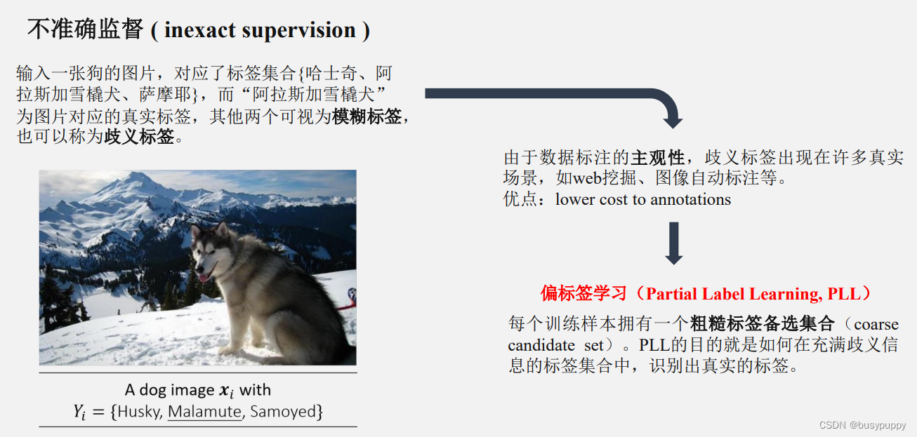 ICLR 2022最佳论文/PiCO: Contrastive Label Disambiguation for Partial Label Learning_pico iclr-CSDN博客