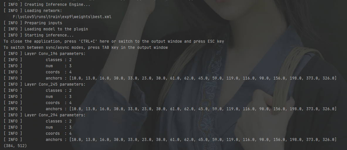 openvino踩坑记（ImportError: DLL load failed while importing ie_api）_on windows, with python >= 3.8 ...