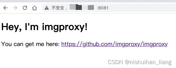 imgpoxy简单入门_imgproxy-CSDN博客