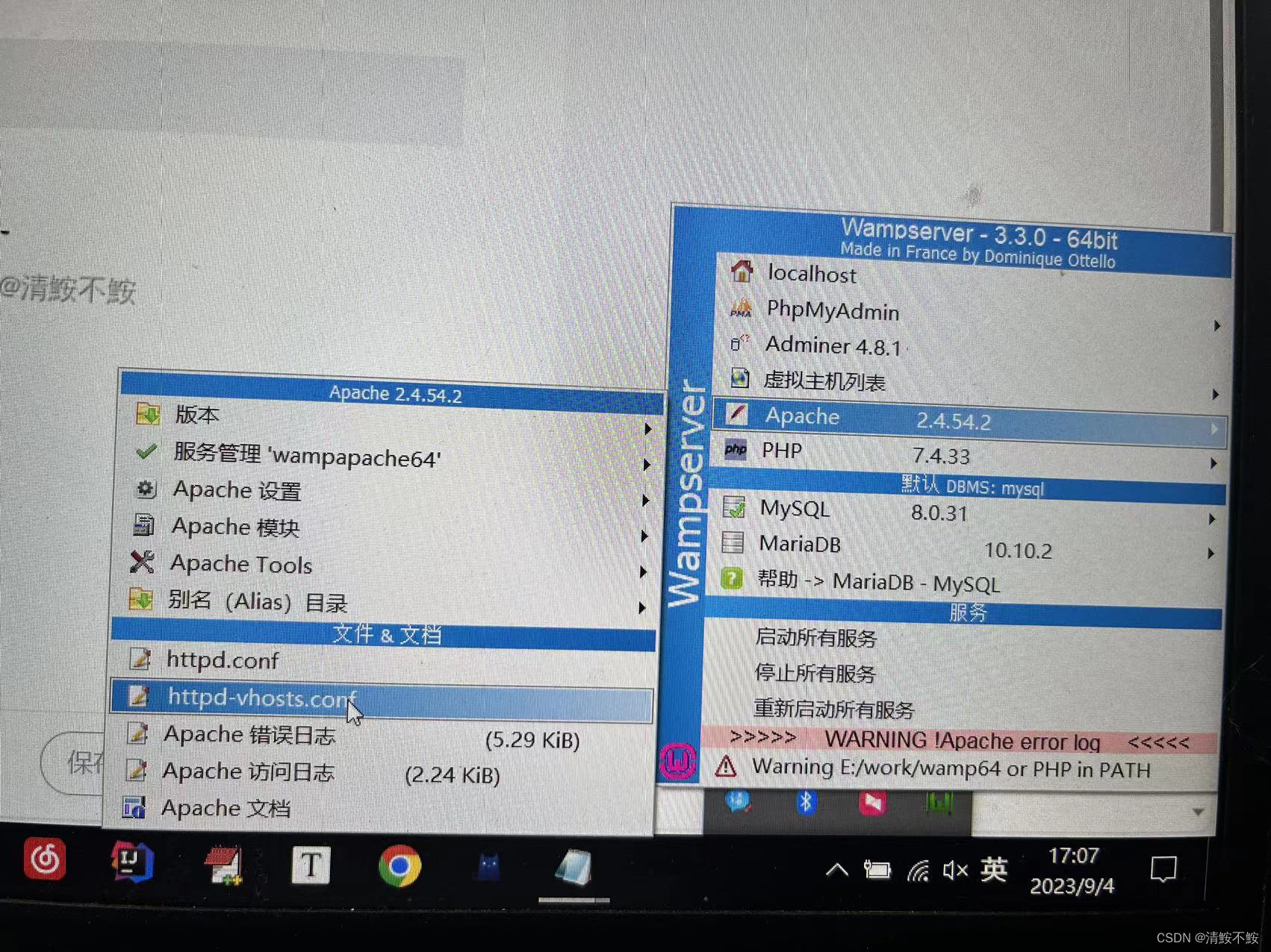 利用WAMP修改域名_wampserver怎样把ip地址修改成自定义域名-CSDN博客