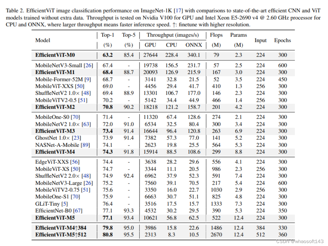 EfficientViT_efficientvit测试-CSDN博客