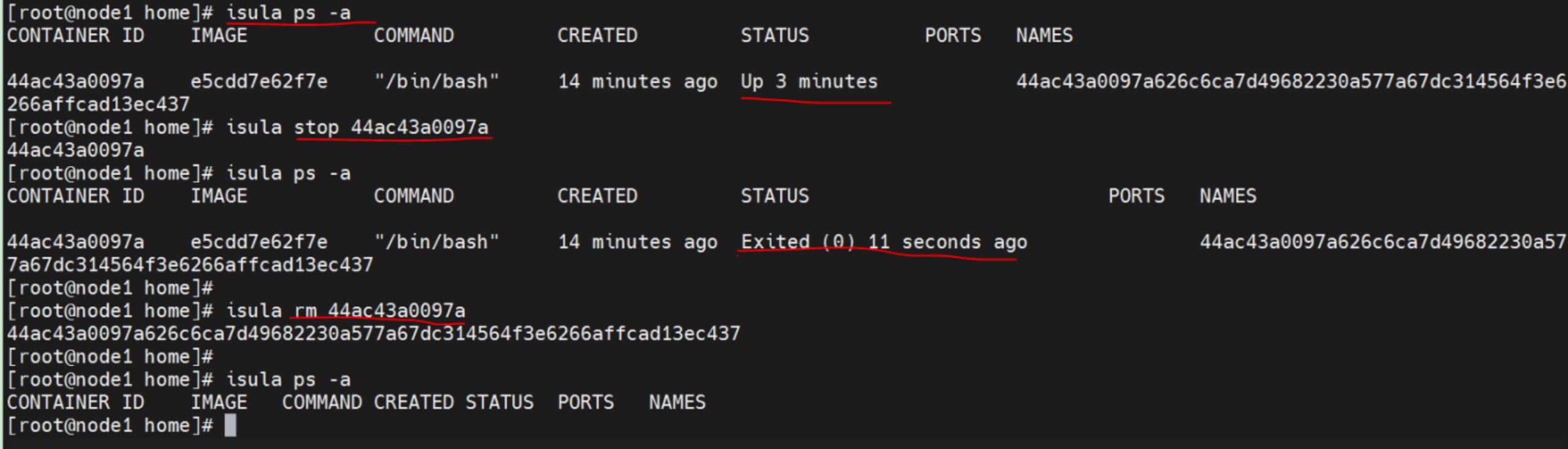 isulad研究测试记录_docker_measure&control-Ssir-华为云开发者联盟