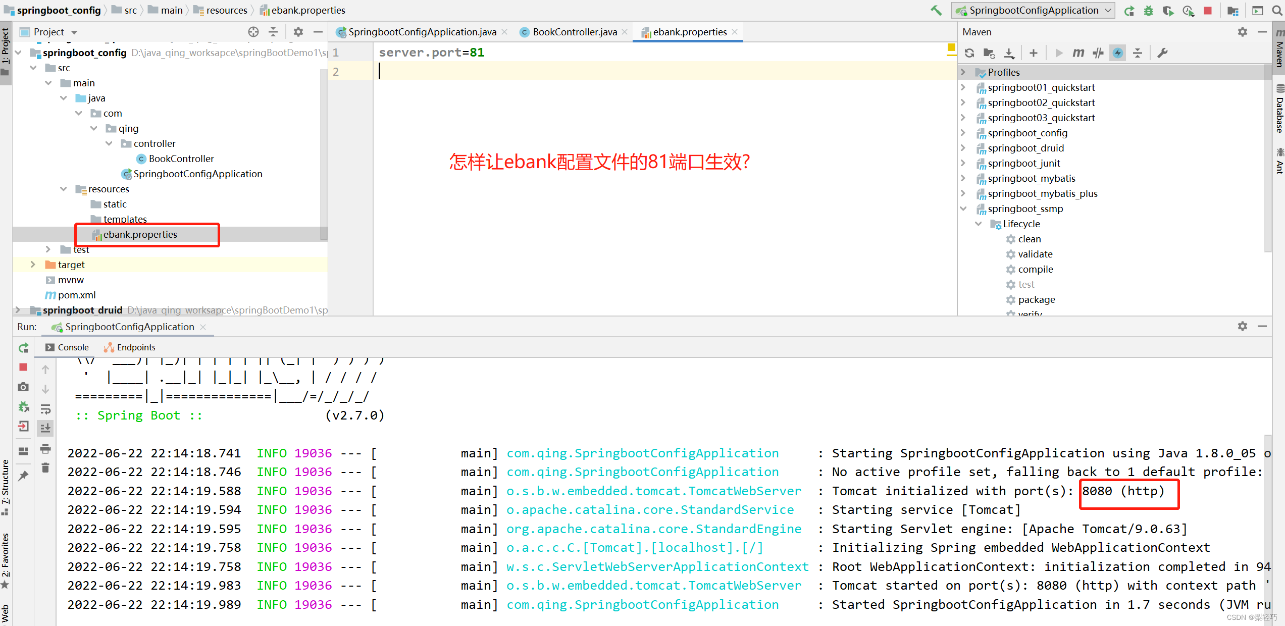 SpringBoot自定义配置文件_springboot edit configuration-CSDN博客