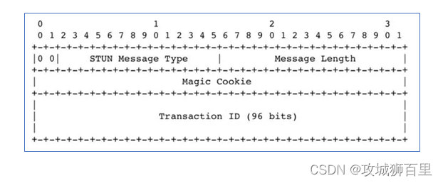 【流媒体服务器】SRS4.0之RTMP转WebRTC ICE交互分析_srs rtc ice-CSDN博客