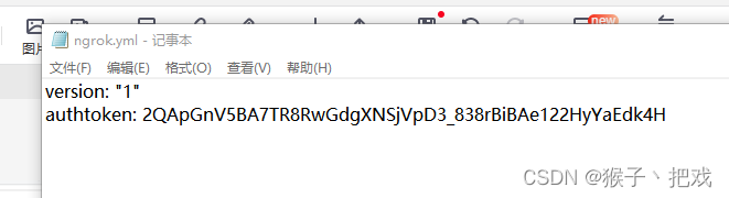 Ngrok 错误 Errngrok108,并且有时闪退authentication Failed Your Account Is Limited To Csdn博客