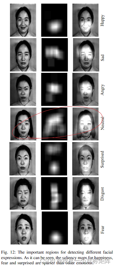 Deep-Emotion: Facial Expression Recognition Using Attentional ...