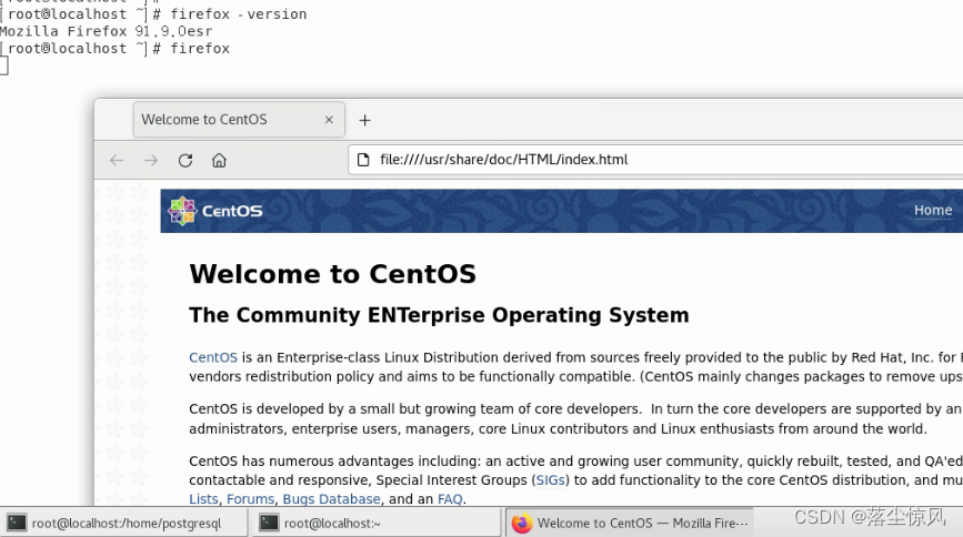 Linux centos安装Firefox、Chrome浏览器_centos 浏览器-CSDN博客