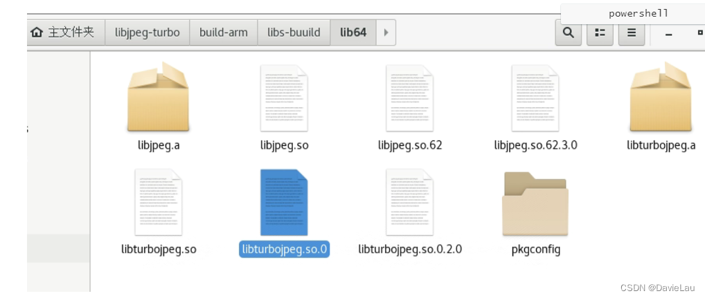 Pytracking算法调试：AttributeError: ‘JPEG‘ object has no attribute ‘decompressor‘_attributeerror ...