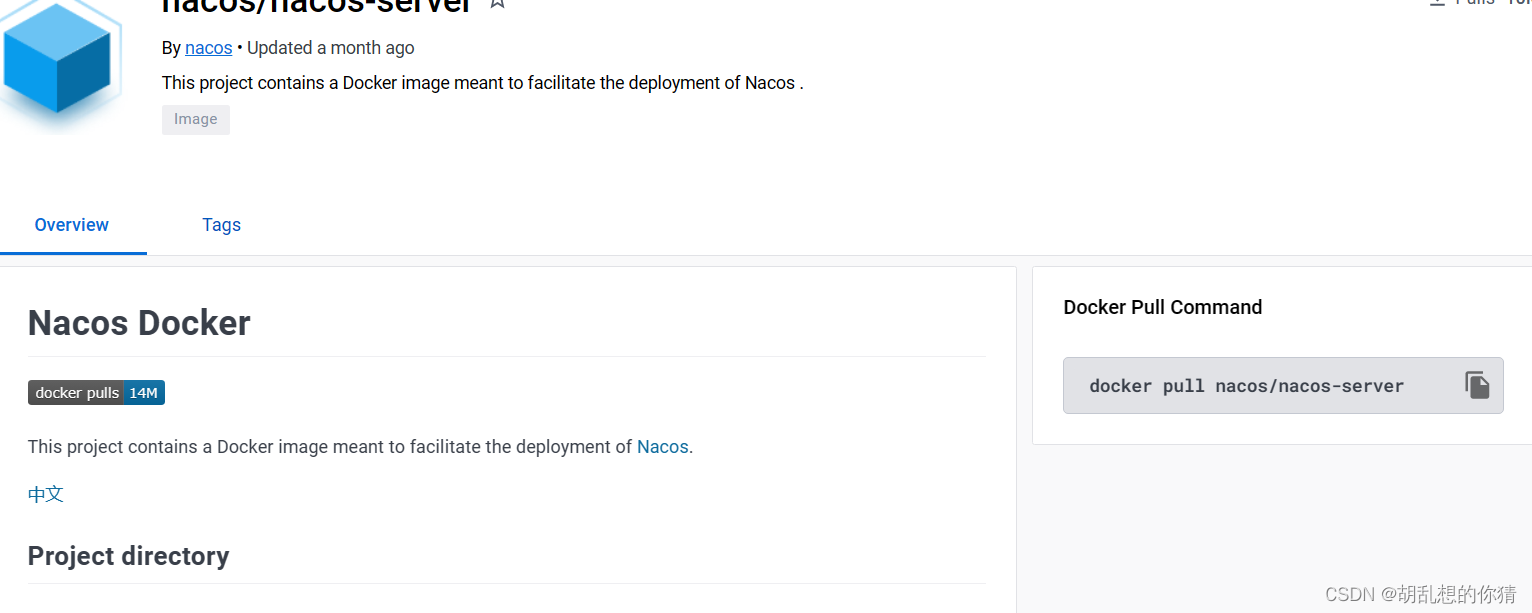 如何使用Docker安装Nacos_docker怎么下载 arm架构的nacos镜像-CSDN博客