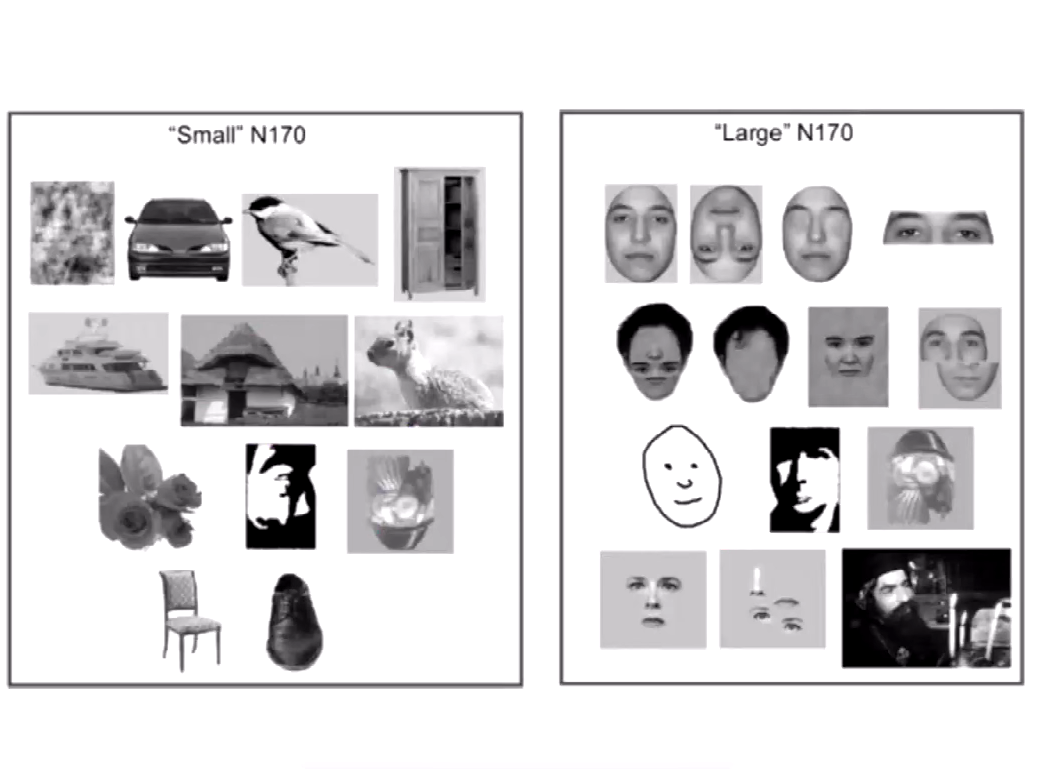 脑电实验设计的原理与实例-EEG Processing and Feature 4-CSDN博客