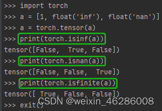 torch.isinf()、torch.isnan()、torch.isfinite()使用详解-CSDN博客