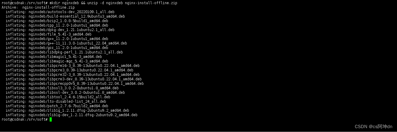 Ubuntu22.04.1 LTS离线编译安装Nginx_ubuntu22.04离线安装nginx-CSDN博客