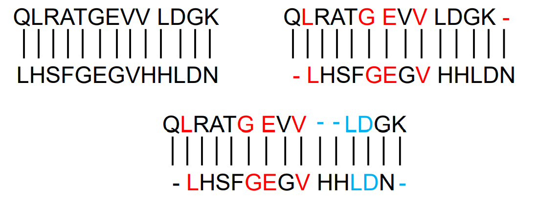 BLAST原理和用法总结（一）_blast算法-CSDN博客