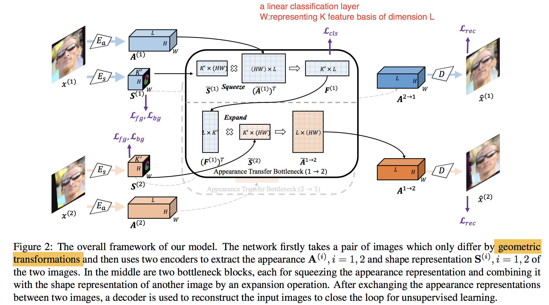 论文笔记：CVPR2021 Unsupervised Part Segmentation through Disentangling Appearance and Shape-CSDN博客