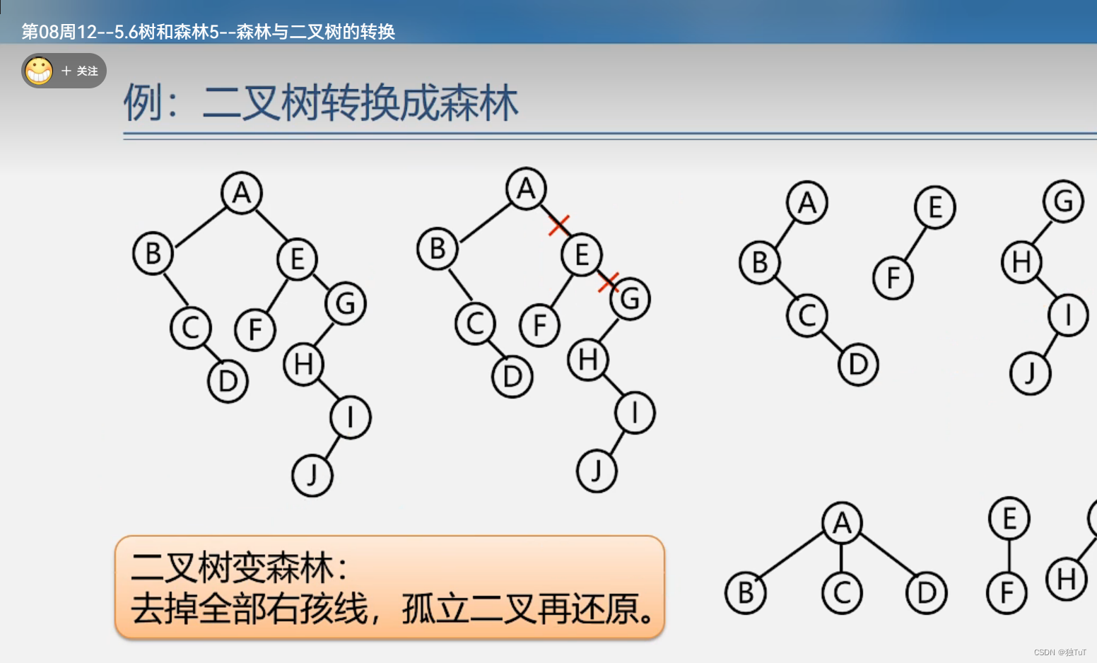 森林和二叉树的转化森林变二叉树口诀 Csdn博客