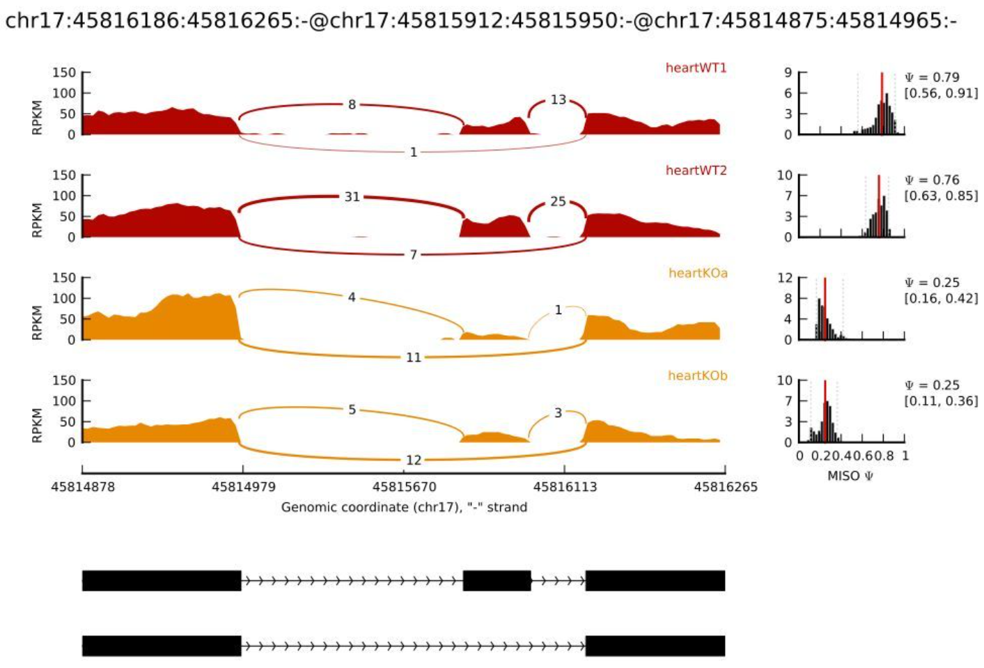 可变剪接分析流程（rMATS）-CSDN博客
